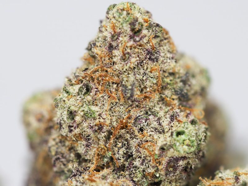 Cotton Candy Kush AAA – Canna Sweets Mail Order Marijuana