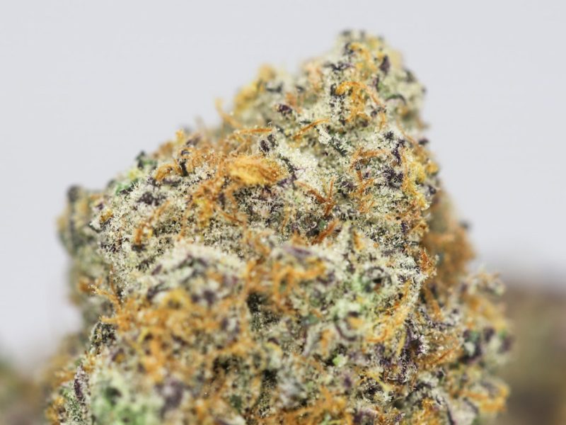 Cotton Candy Kush AAA – Canna Sweets Mail Order Marijuana