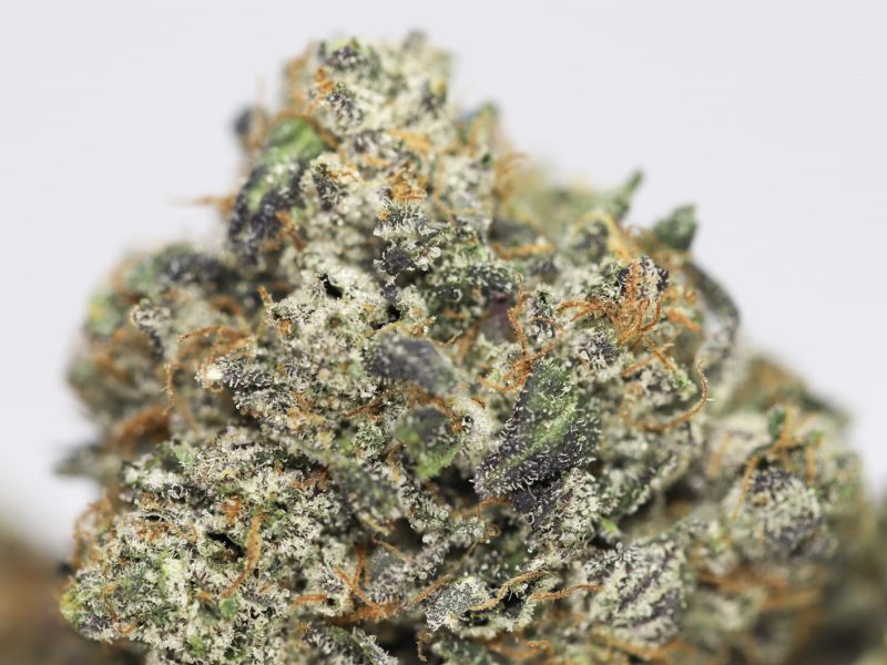 Dank Sinatra AAAA – Canna Sweets Mail Order Marijuana