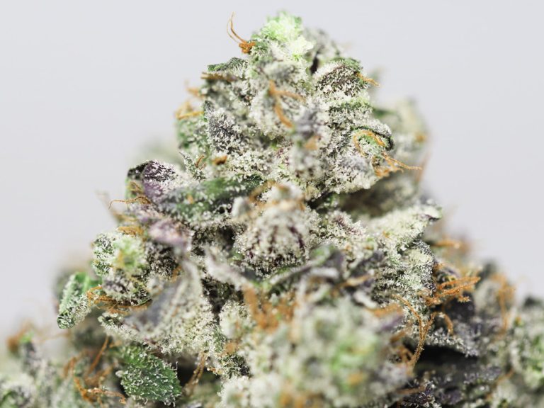 Dank Sinatra AAAA – Canna Sweets Mail Order Marijuana