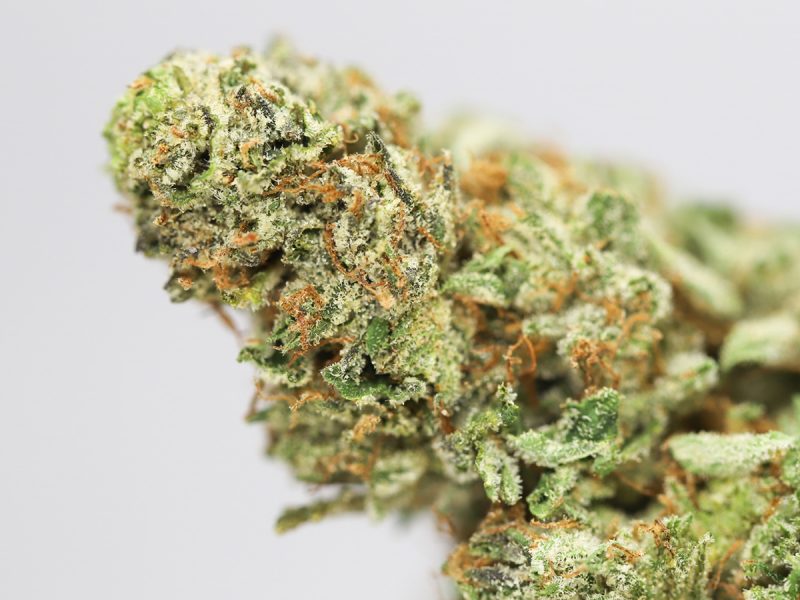 High Octane OG AA – Canna Sweets Mail Order Marijuana