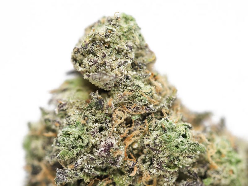 Trainwreck AA – Canna Sweets Mail Order Marijuana