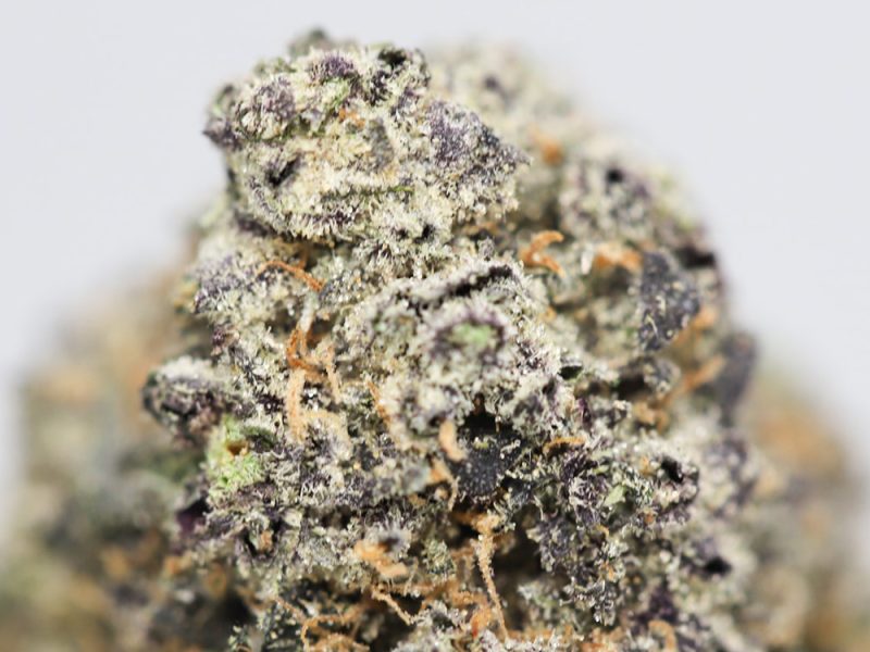 Runtz AA – Canna Sweets Mail Order Marijuana