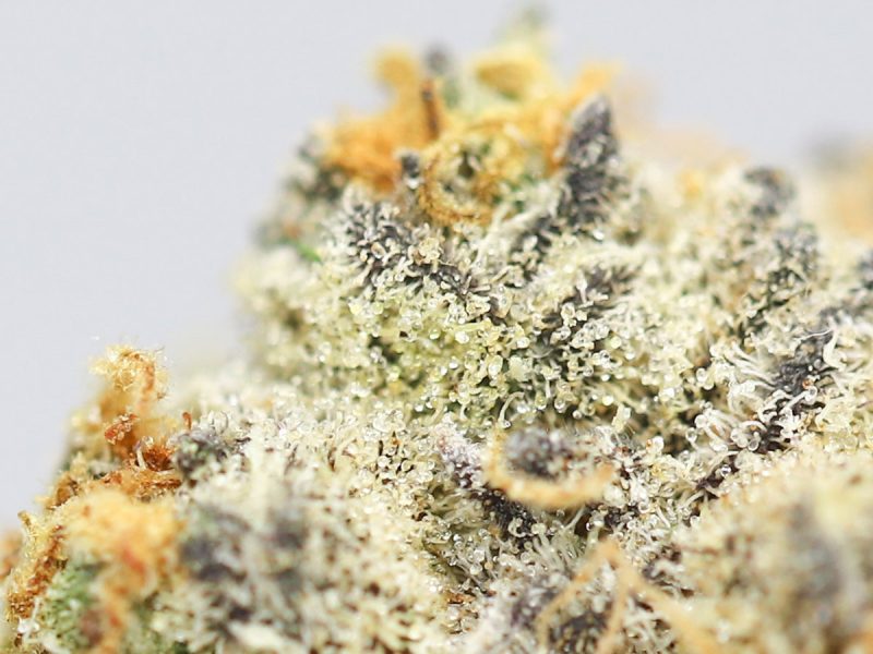 KRFT MRKT – Bear Dance AAAA+ – Canna Sweets Mail Order Marijuana