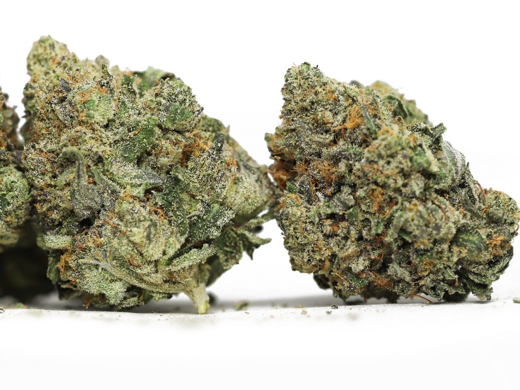 Northern Wreck AA – Canna Sweets Mail Order Marijuana