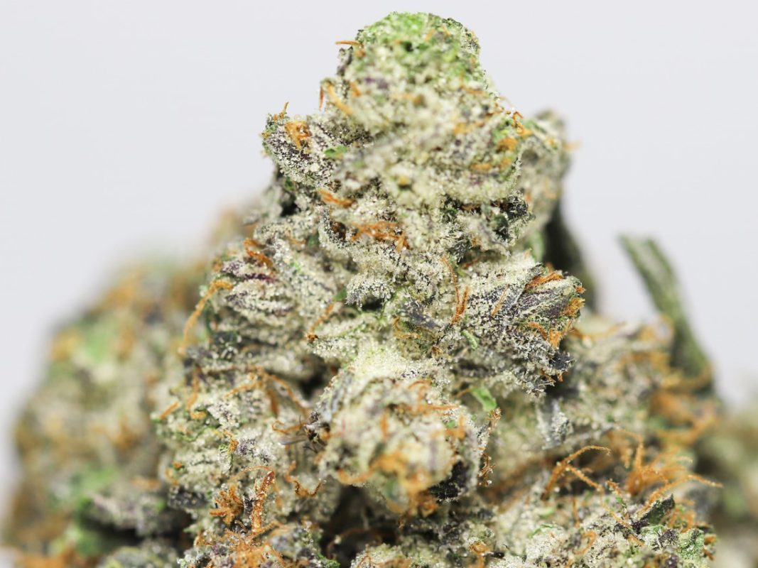 KRFT MRKT – El Chapo OG Kush AAAA+ – Canna Sweets Mail Order Marijuana