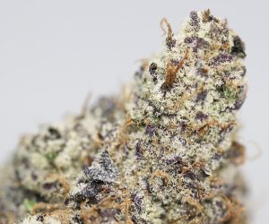 Electric Kool Aid AAA – Canna Sweets Mail Order Marijuana