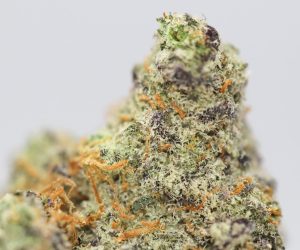 Acai Berry Gelato AA – Canna Sweets Mail Order Marijuana