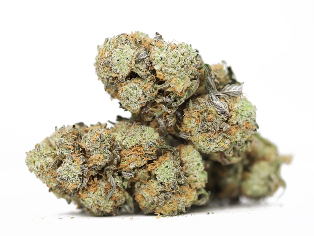 Acai Berry Gelato AA – Canna Sweets Mail Order Marijuana