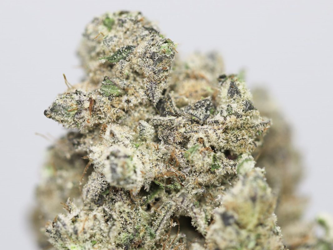 KRFT MRKT – Emperor Cookies AAAA+ – Canna Sweets Mail Order Marijuana