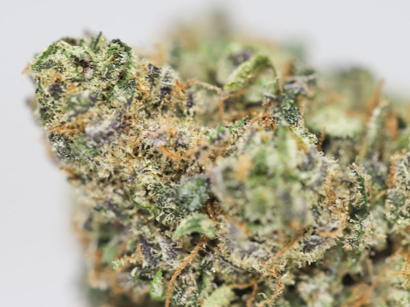 Peyote Cookies AA – Canna Sweets Mail Order Marijuana