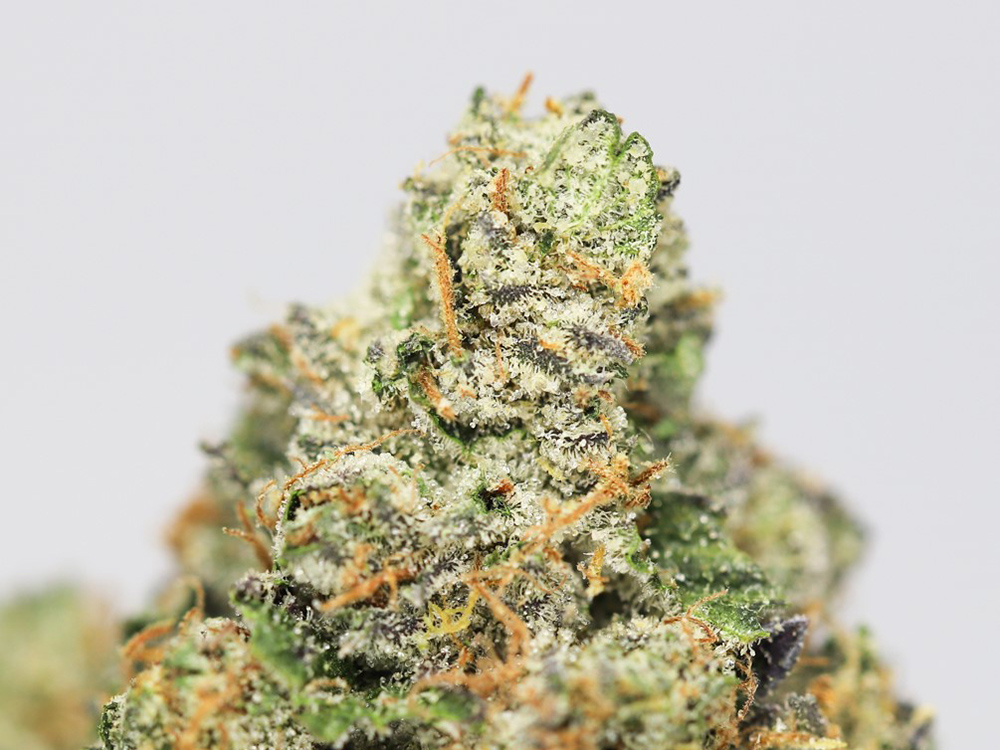 Raspberry Rhino AA – Canna Sweets Mail Order Marijuana