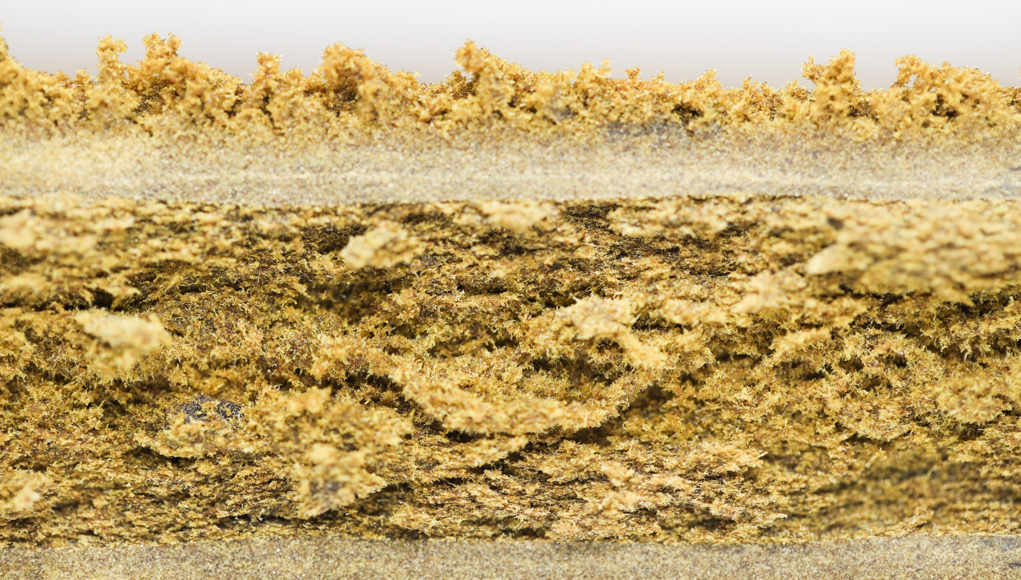 BC Craft Farms – Blue Dream Kief Hash – Canna Sweets Mail Order Marijuana