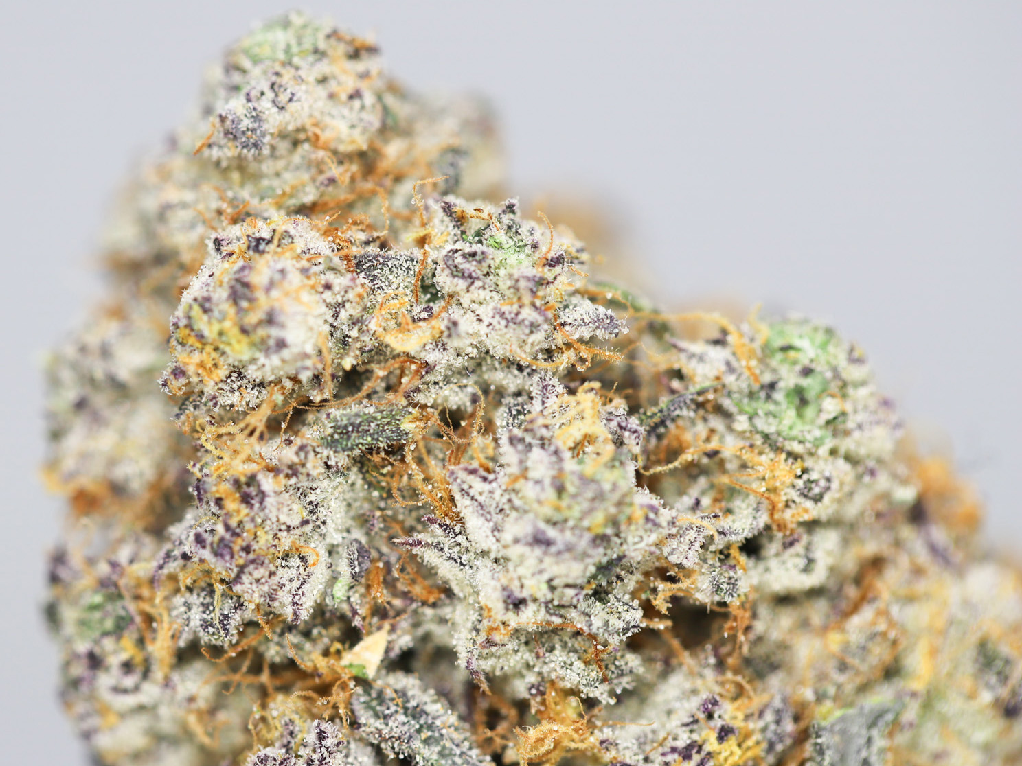 KRFT MRKT – Jupiter Jack Soda AAAA+ – Canna Sweets Mail Order Marijuana
