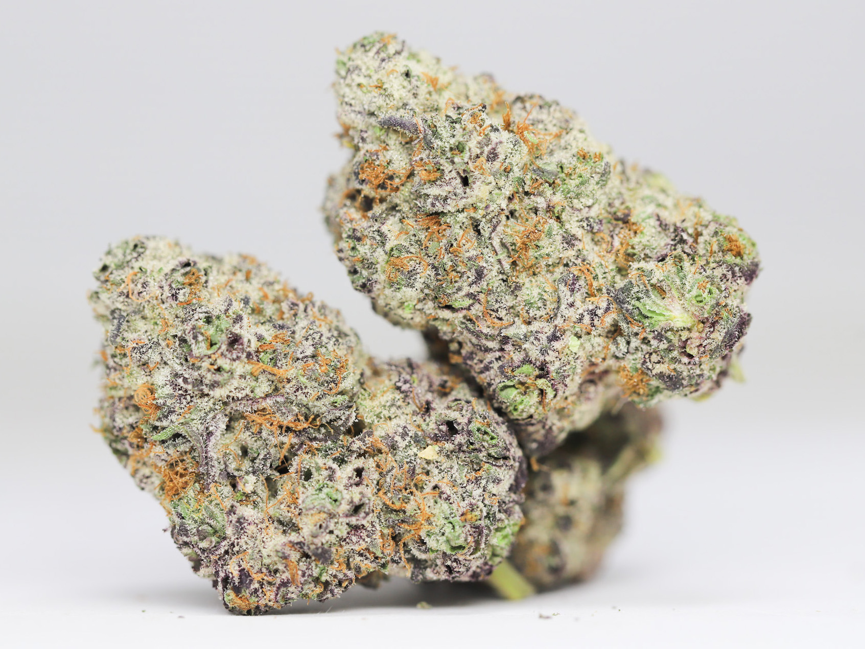 Sherbet Creamsicle AAAA – Canna Sweets Mail Order Marijuana
