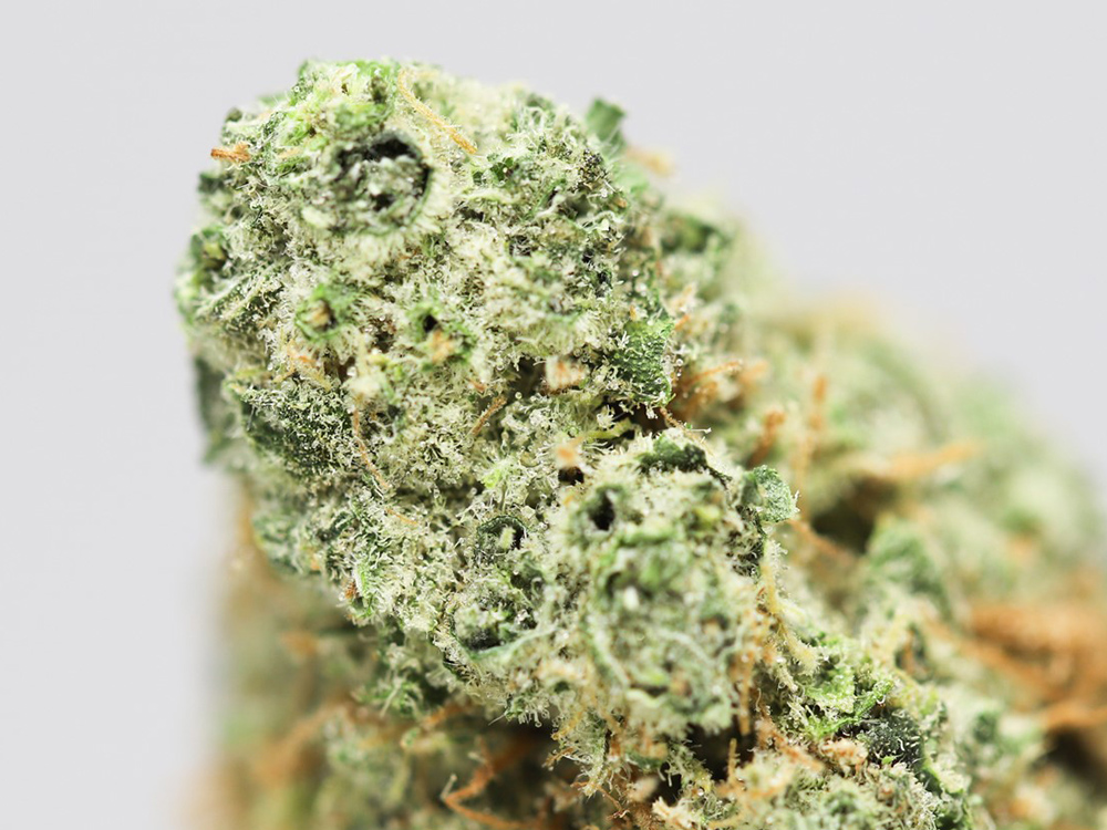 Forbidden Fruit AAA – Canna Sweets Mail Order Marijuana
