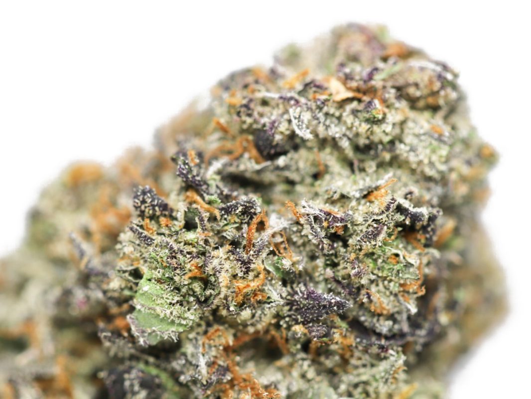 Gelato Runtz AAAA – Canna Sweets Mail Order Marijuana