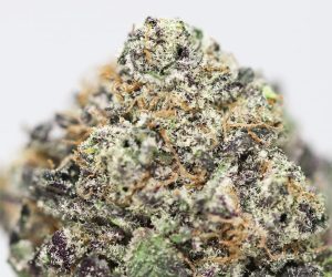 Gelato Runtz AAAA – Canna Sweets Mail Order Marijuana