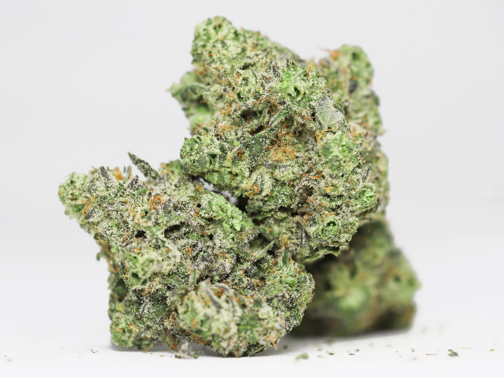 Candy Jack AAAA – Canna Sweets Mail Order Marijuana
