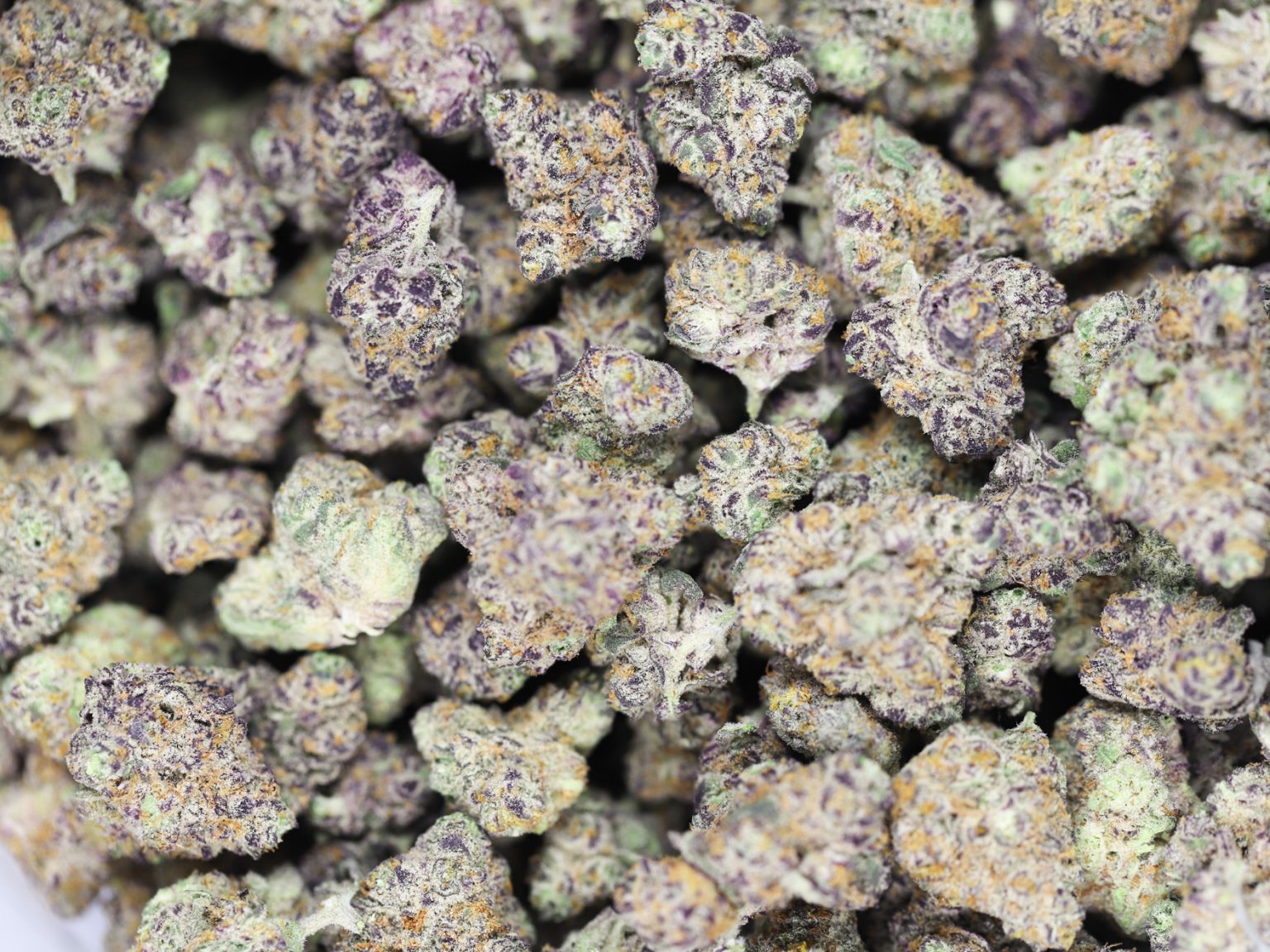 AAA+ Small Buds – Frozen Grapes – Canna Sweets Mail Order Marijuana