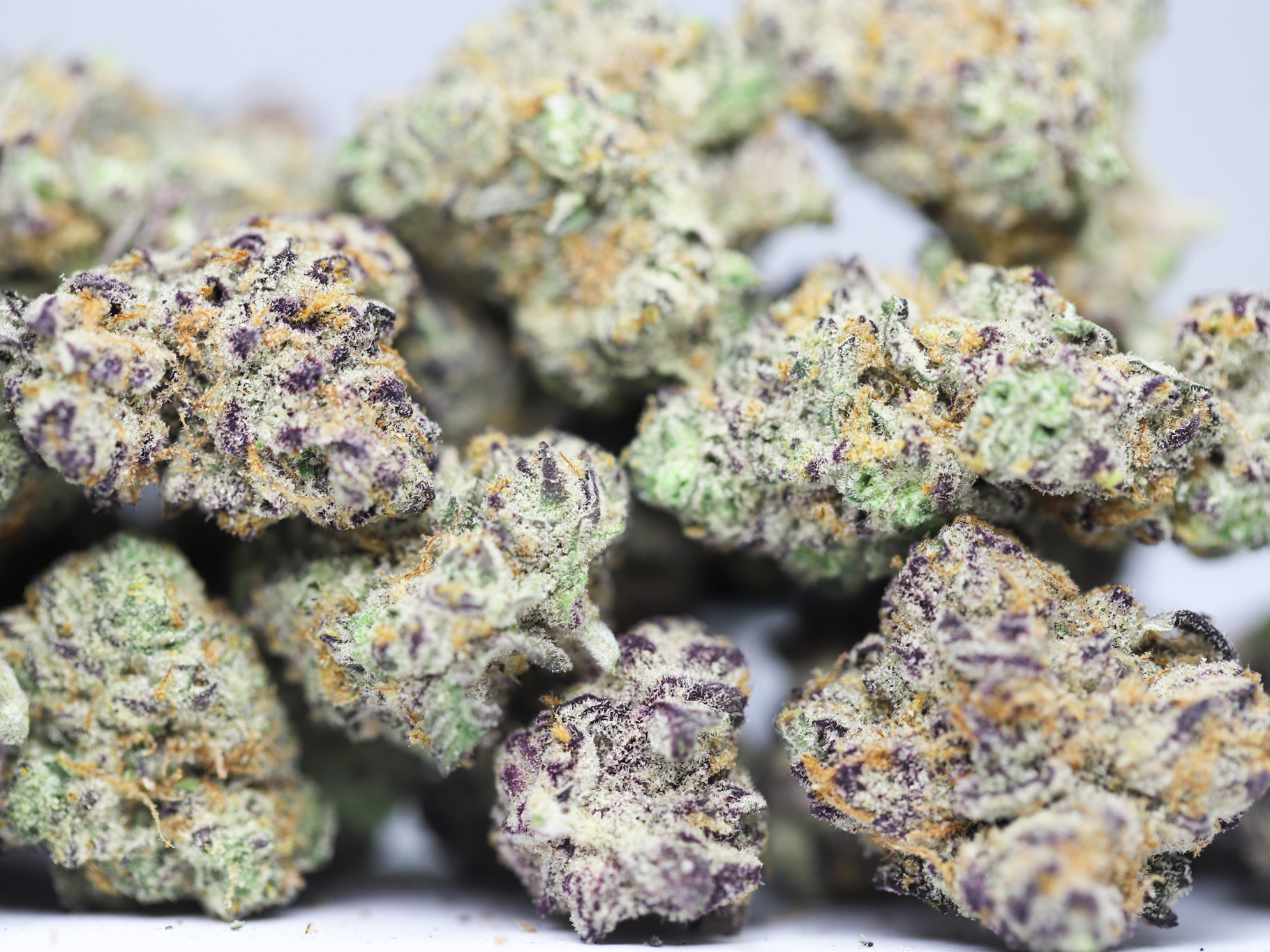 AAA+ Small Buds – Frozen Grapes – Canna Sweets Mail Order Marijuana